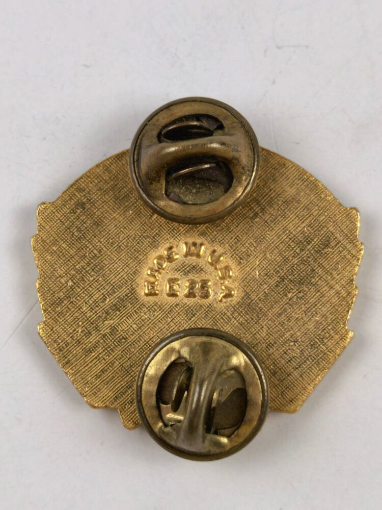 US Army Unit Crest: 160th Signal Battalion - Motto: FINEST OF THE FIR