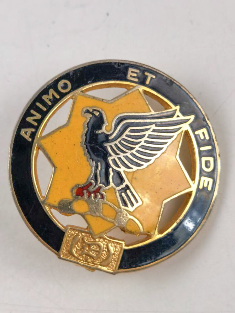 US Army Unit Crest: 1st Cavalry Regiment - Motto: ANIMO ET FIDE, 15,0