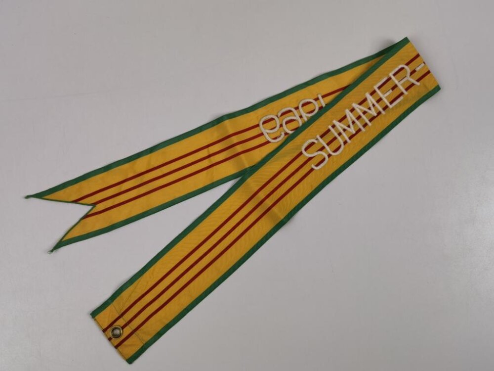 U.S. ARMY Battle Streamer for U.S. Army Flag, " SUMMER - FALL 1969" 9