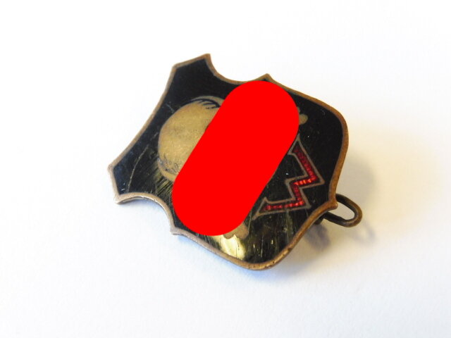 4108a, Der Wehrwolf, Zivilabzeichen, 120,00