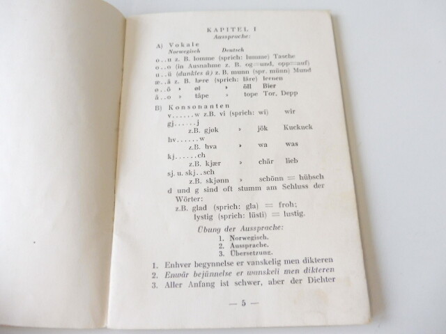 Eiserne Portion der Norwegischen Sprache, Sprachführer mit 32 Seiten,