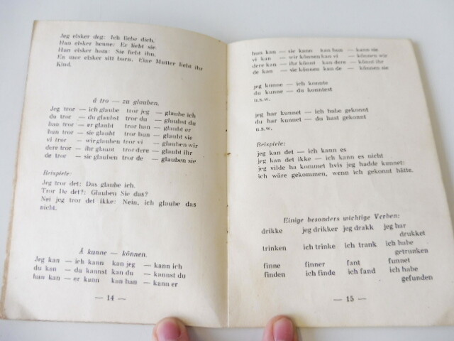 Eiserne Portion der Norwegischen Sprache, Sprachführer mit 32 Seiten,